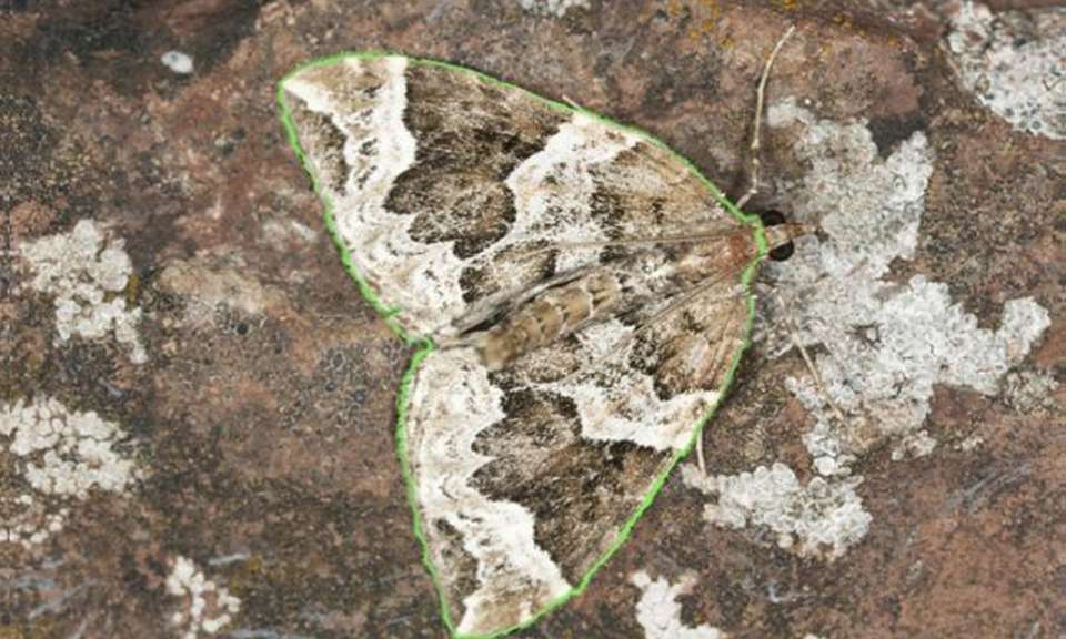 Productions | Clean Break